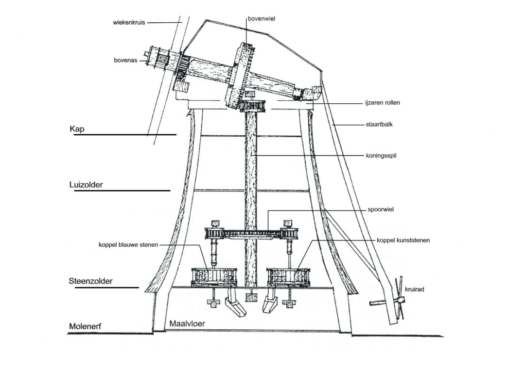 De werking van een korenmolen | Museummolen